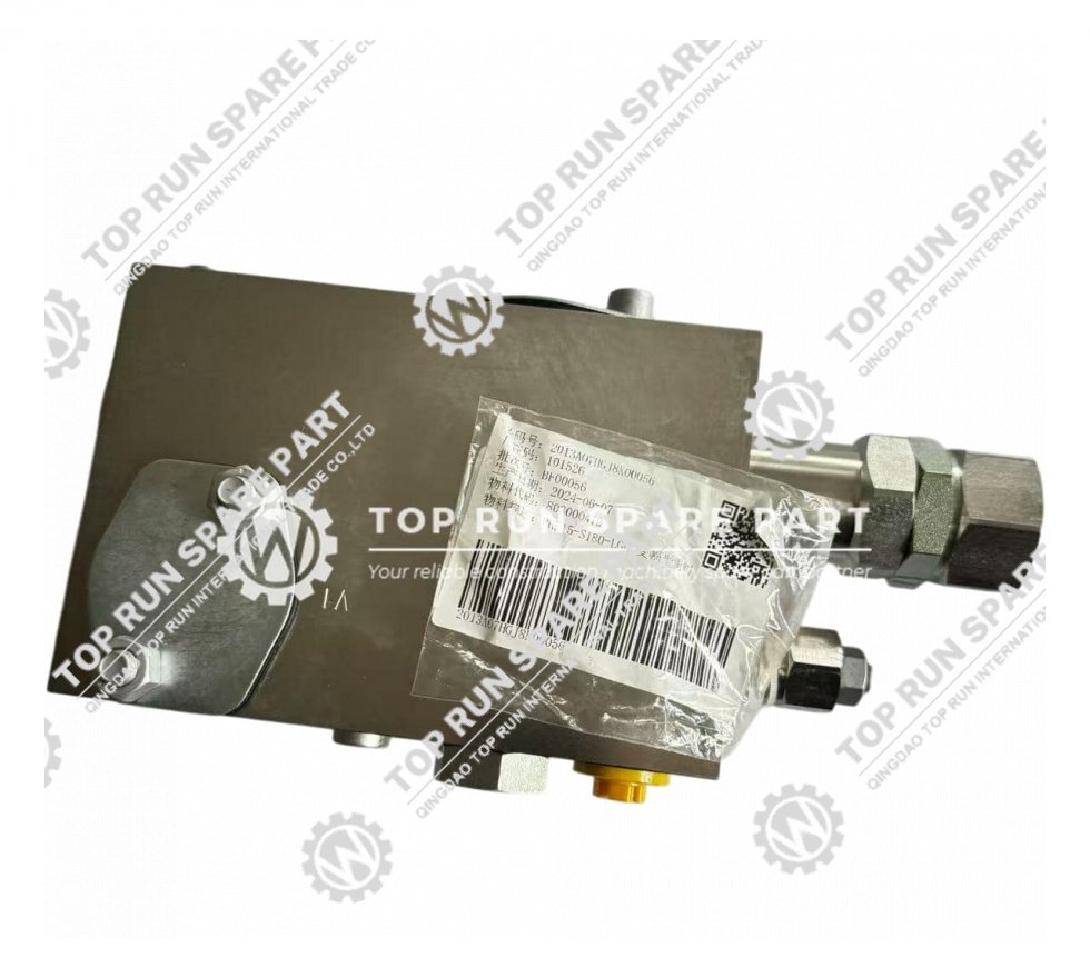 Balancing Valve 803000479 for Crane